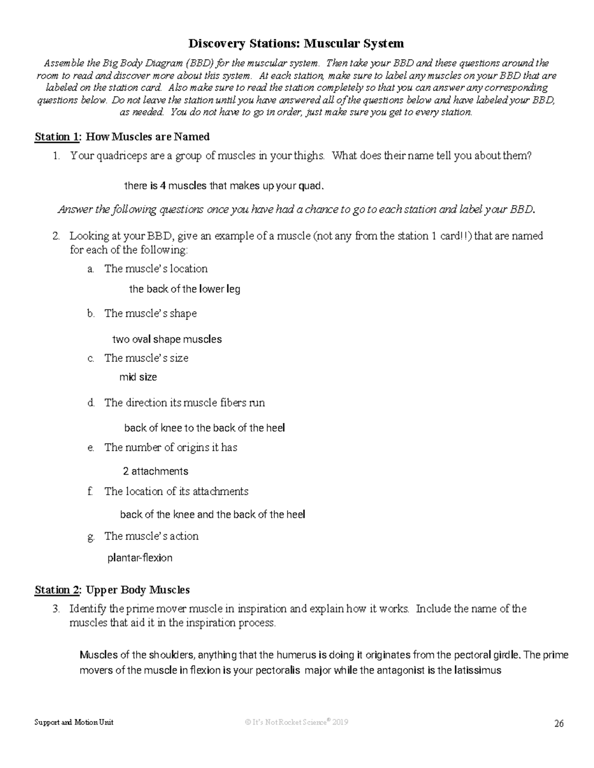 Discovery+Stations+Guide+-+Muscular+System+Unit+Support - Studocu