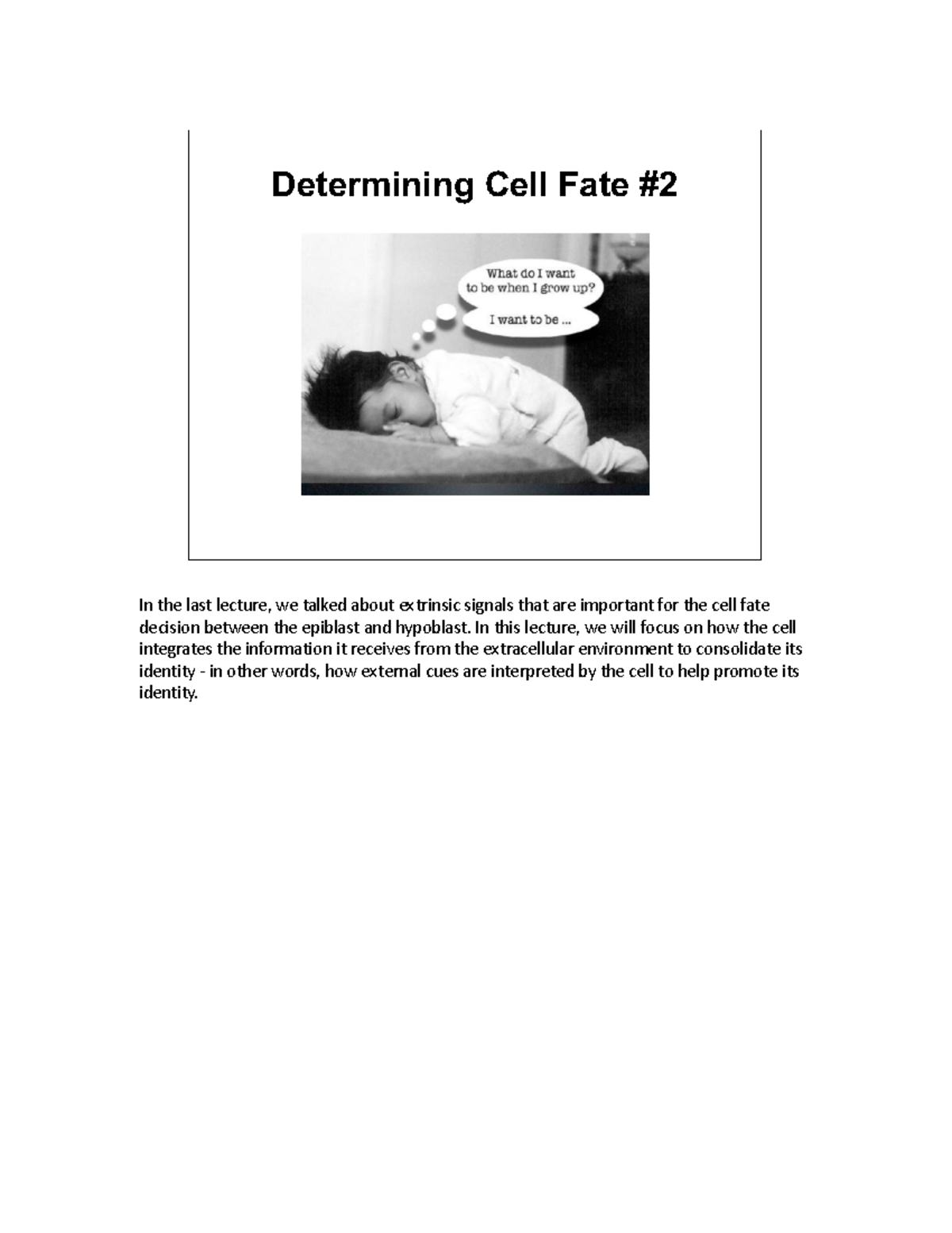 Lecture 09: Determining Cell Fate - Insights into Early Embryonic Dev ...