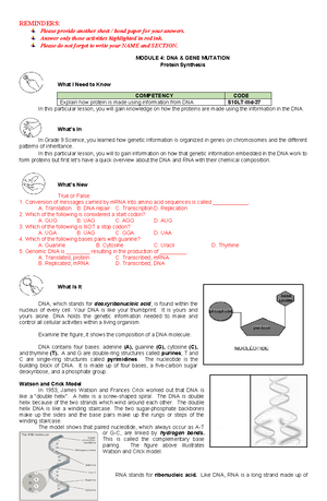Informative-essay-example - Marie Kittelstad September 27, 2019 HIS 101 ...