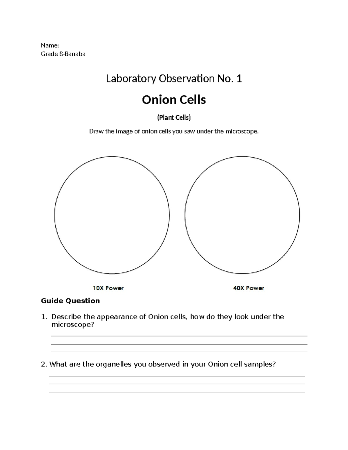 Lab sheet#1 - 11213142 - Name: Grade 8-Banaba Laboratory Observation No ...