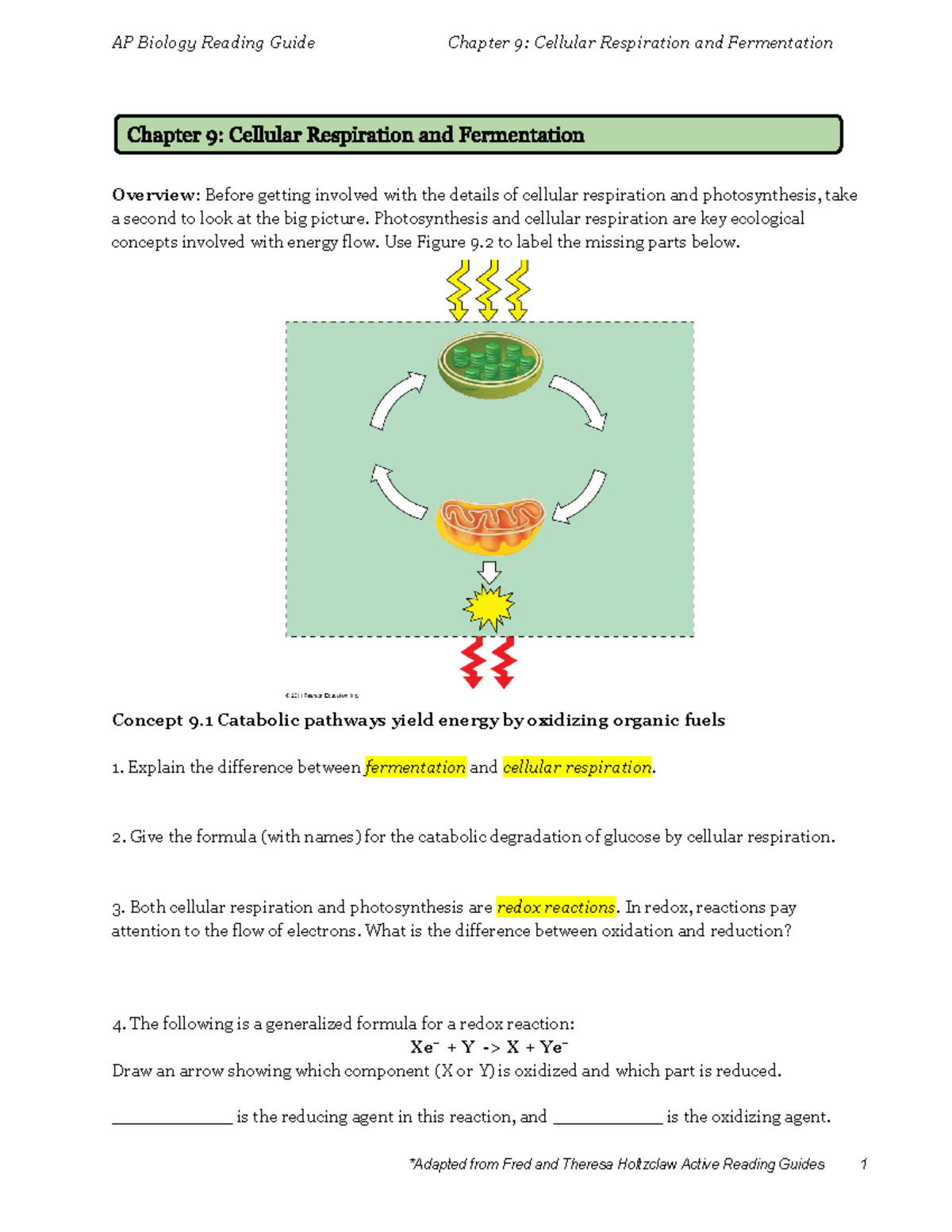 Copy of Chapter 9 - Cellular Respiration and Fermentation (Biology 101 ...