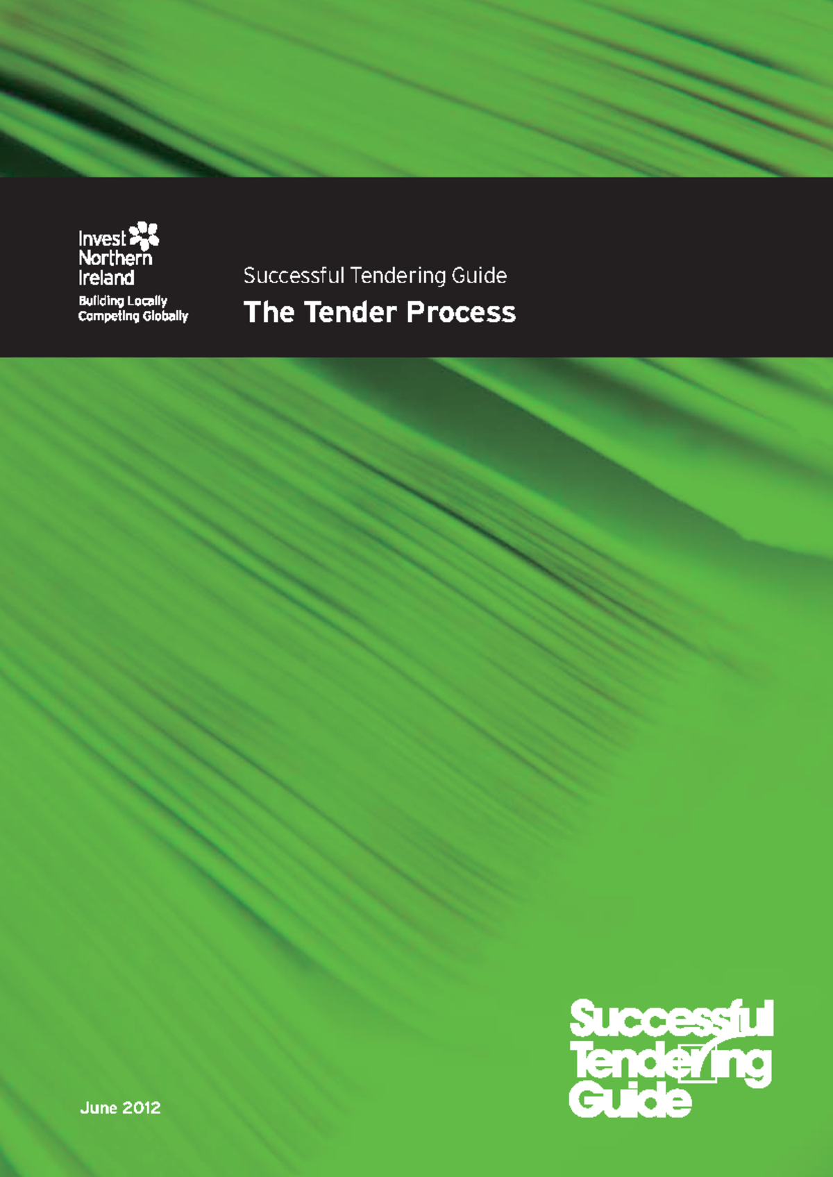 Tendering Guide: Navigating the Tender Process Successfully - Studocu
