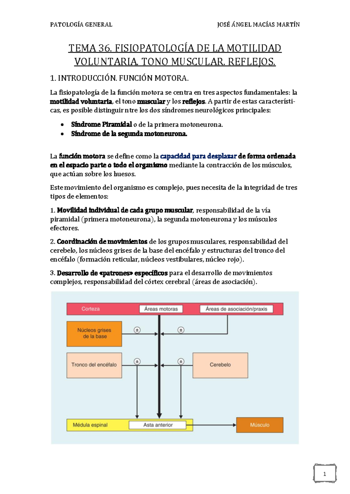 TEMA 36. Fisiopatología de la Motilidad Voluntaria y Tono Muscular ...