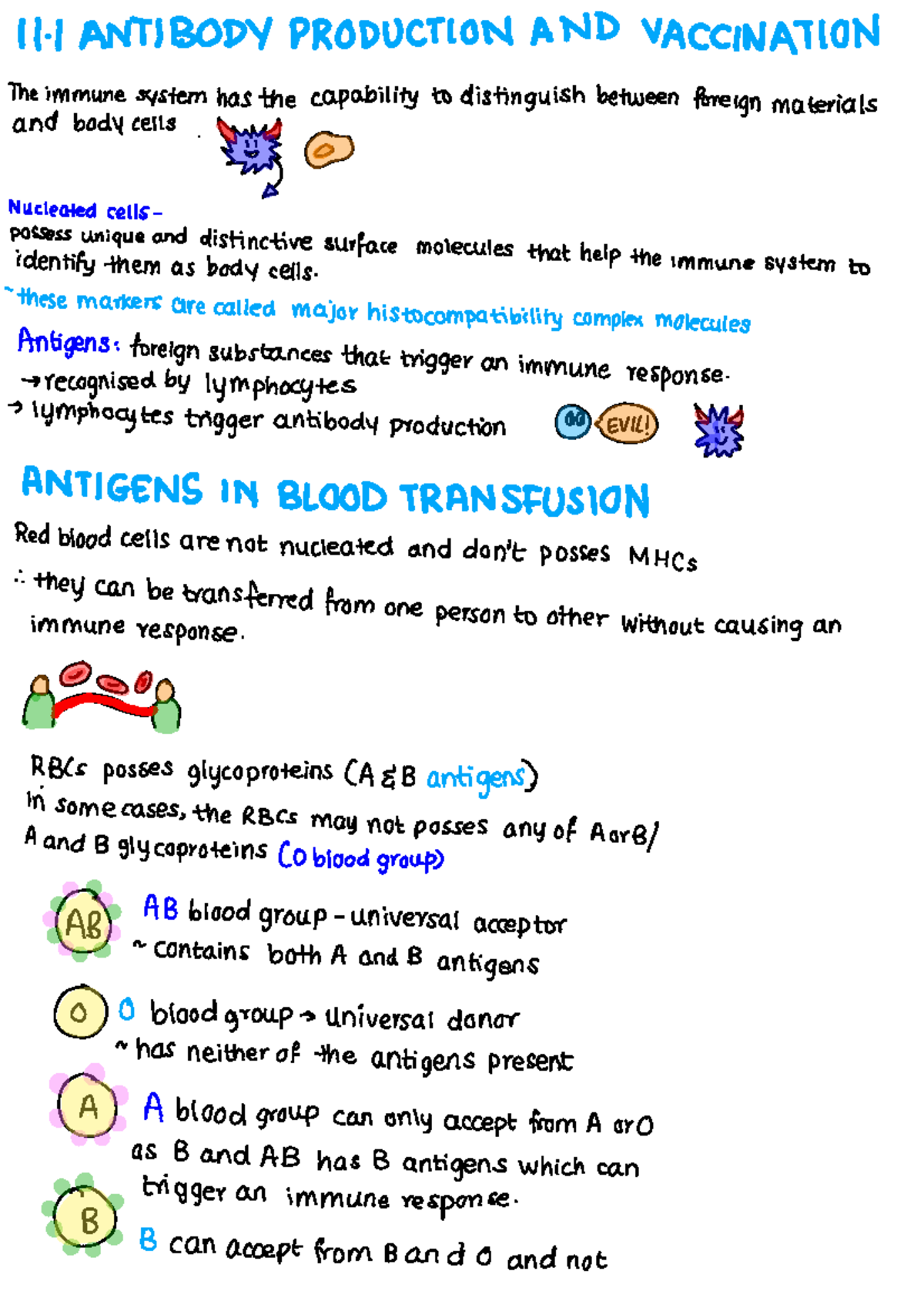Biology 101: Antibody Production & Vaccination Overview - Studocu