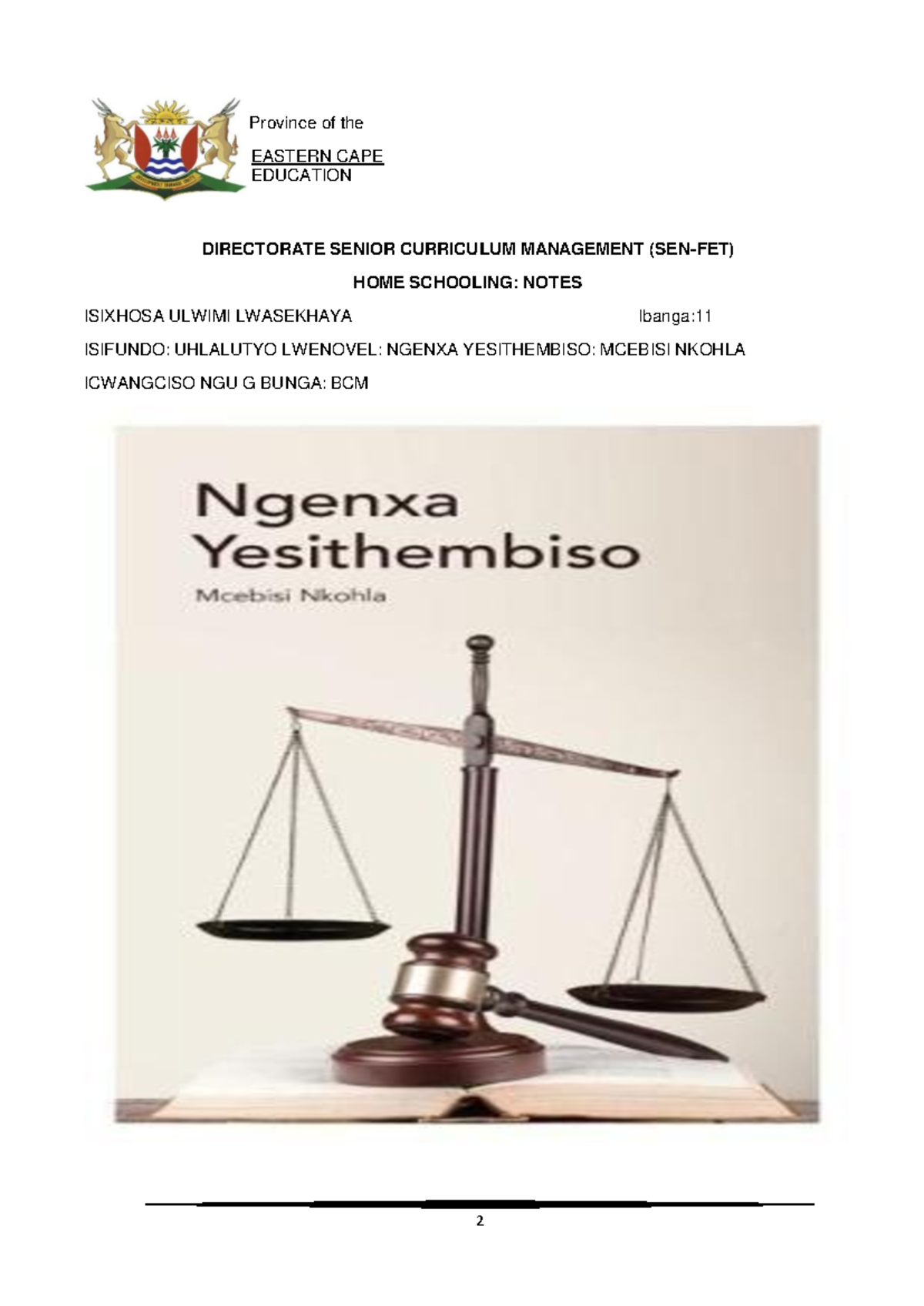 734399447 4 Uhlalutyo lweNoveli "Ngenxa Yesithembiso" - Grade 11 ...