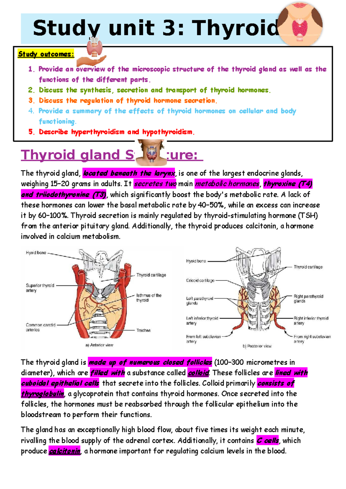 Synthesis and Regulation of Thyroid Hormones: Detailed Overview and ...