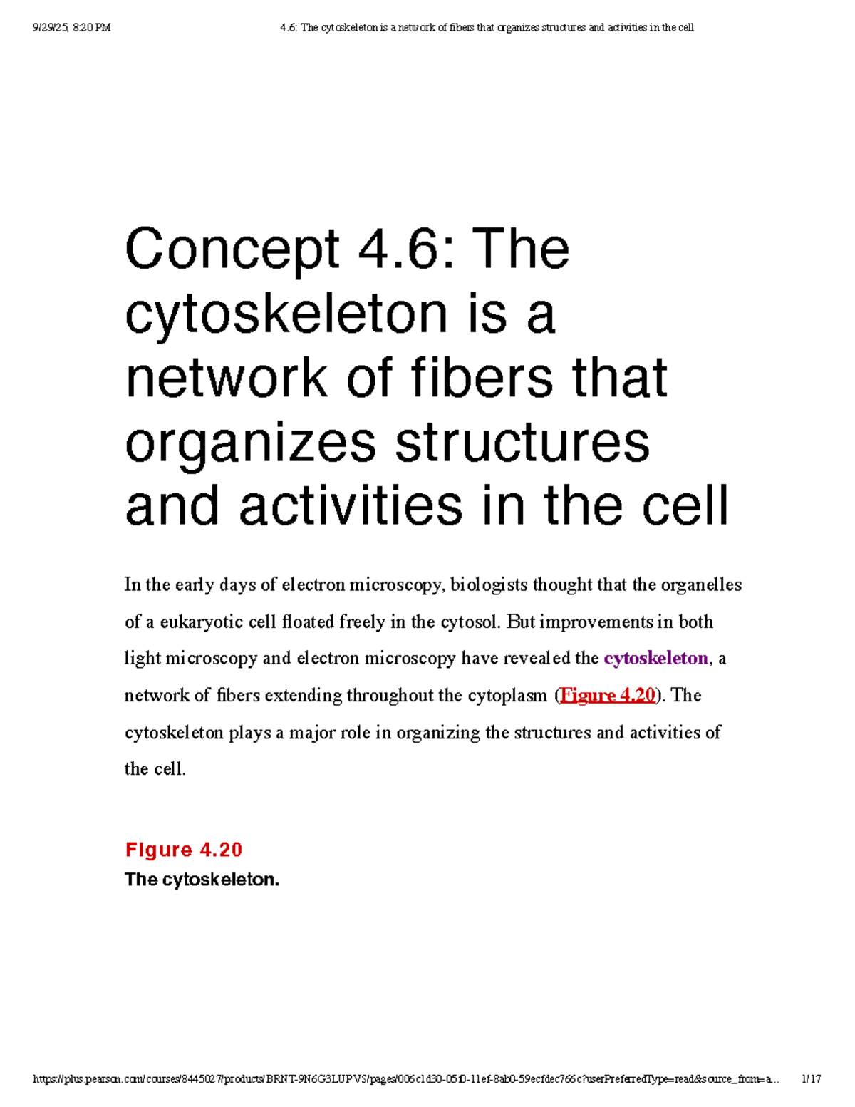 Cytoskeleton: Structure & Function in Eukaryotic Cells (Concept 4.6) - Studocu