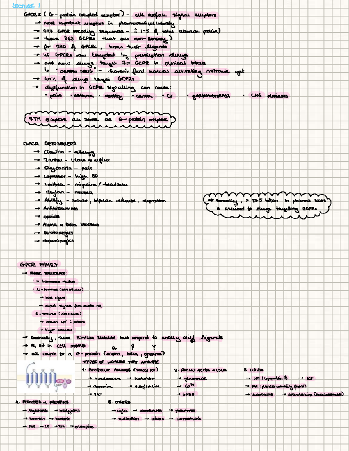 GPCR Lecture Notes - EEI.I - Overview of G Protein-Coupled Receptors ...