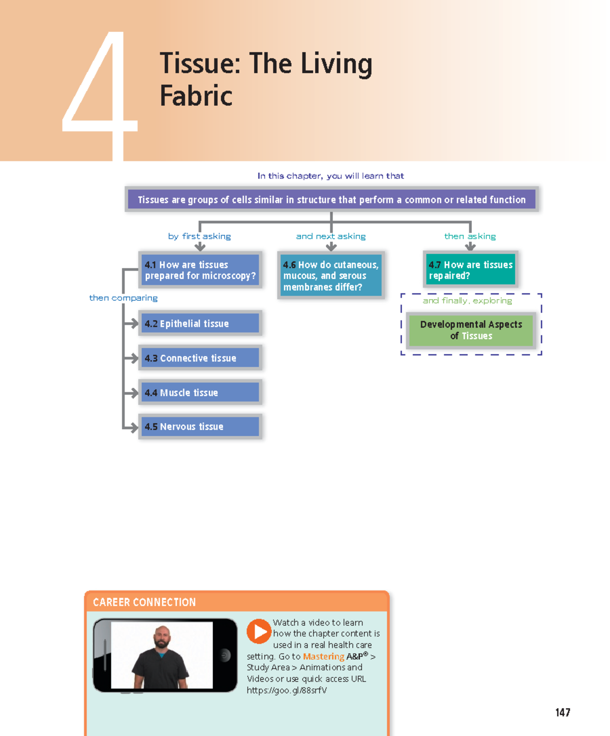 LEC 4 Supplement - Anatomy and Physiology - 147 Tissue: The Living ...