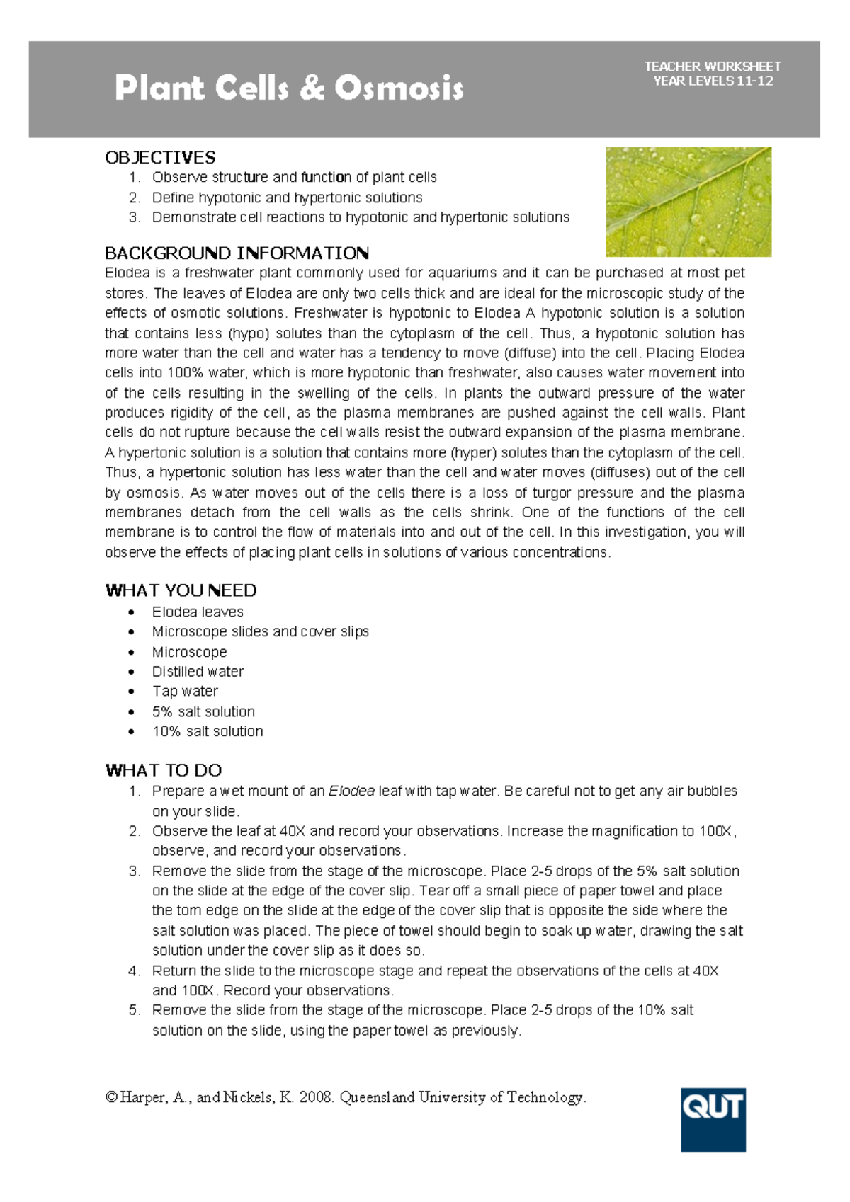 Plant Cells and Osmosis: Teacher Worksheet for Biology - Studocu