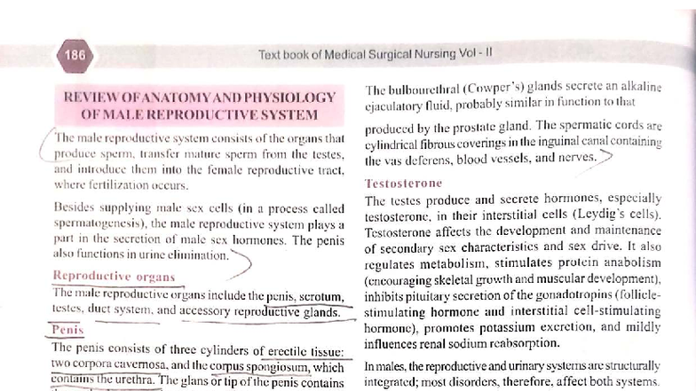 186 Medical Surgical Nursing Vol II: Male Reproductive System Overview ...