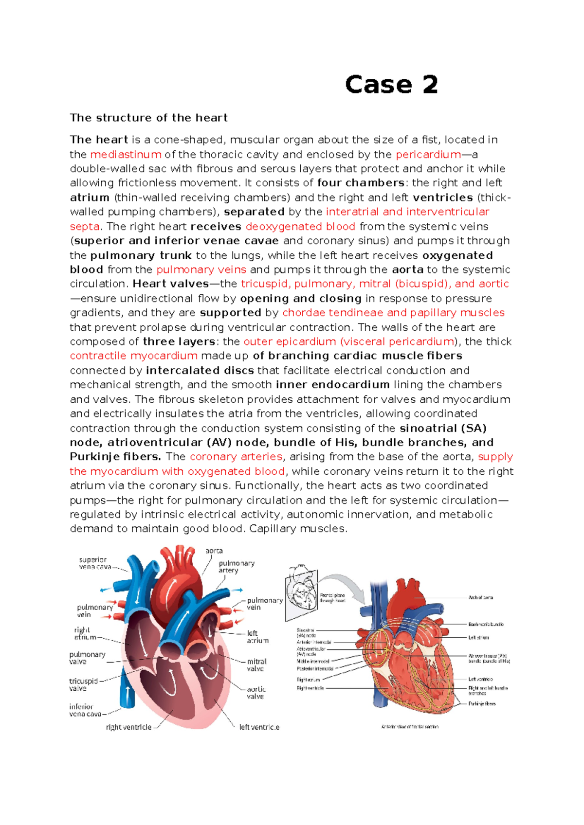 Case Study 2: The Structure and Function of the Heart (BBS1002 ...