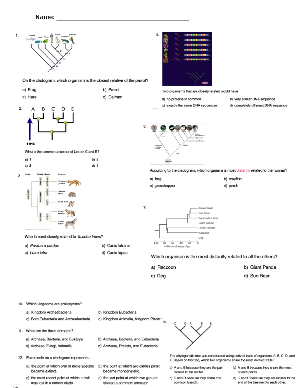 Bio Quiz - Evolutionary Relationships and Cladograms - Studocu