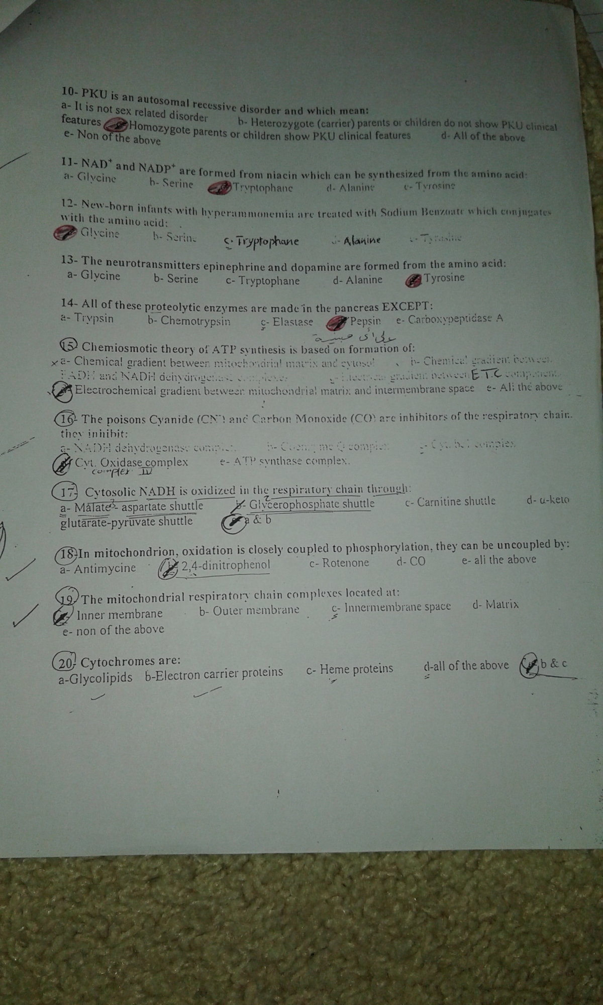 biochemistry questions - Studocu