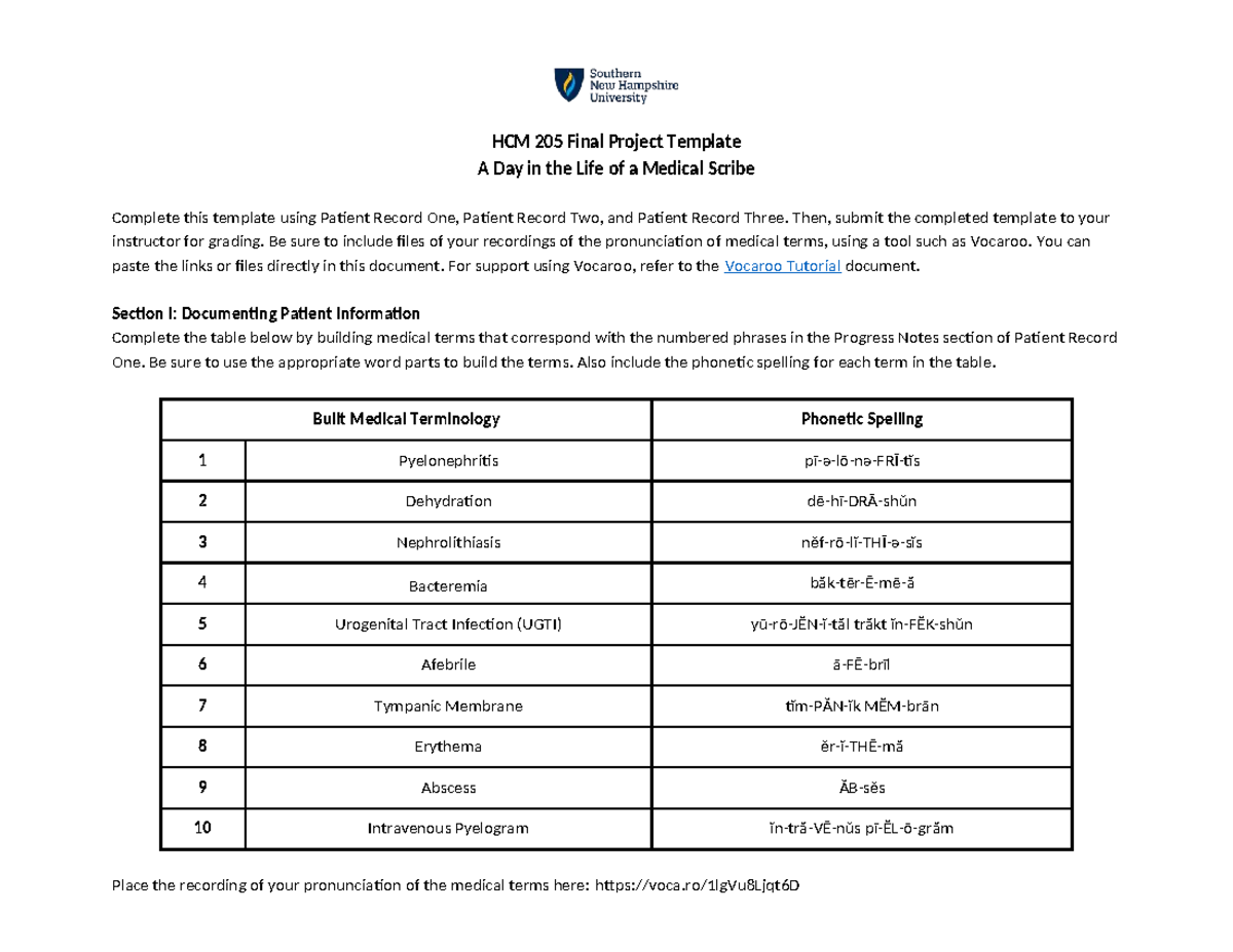 HCM 205 Final Project Template: A Day in the Life of a Medical Scribe ...