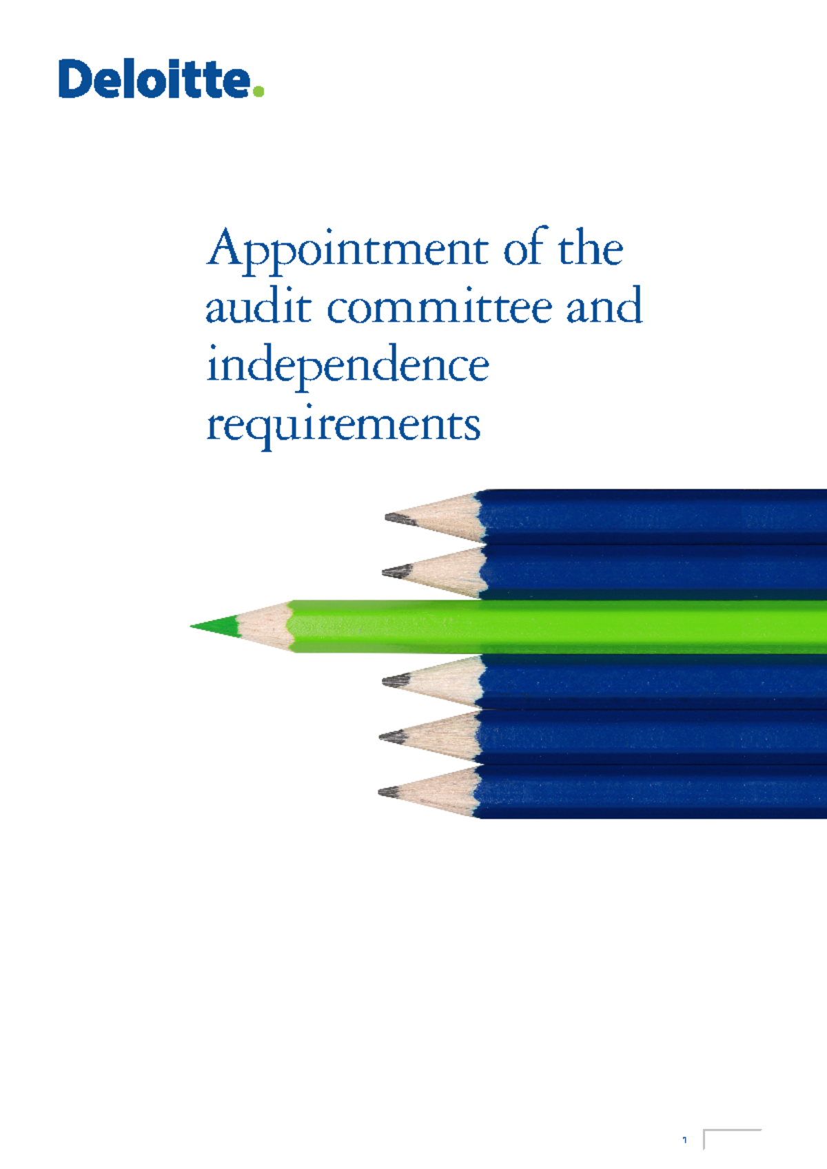 Appointment of Audit Committee & Independence Reqs (ZA) - Studocu