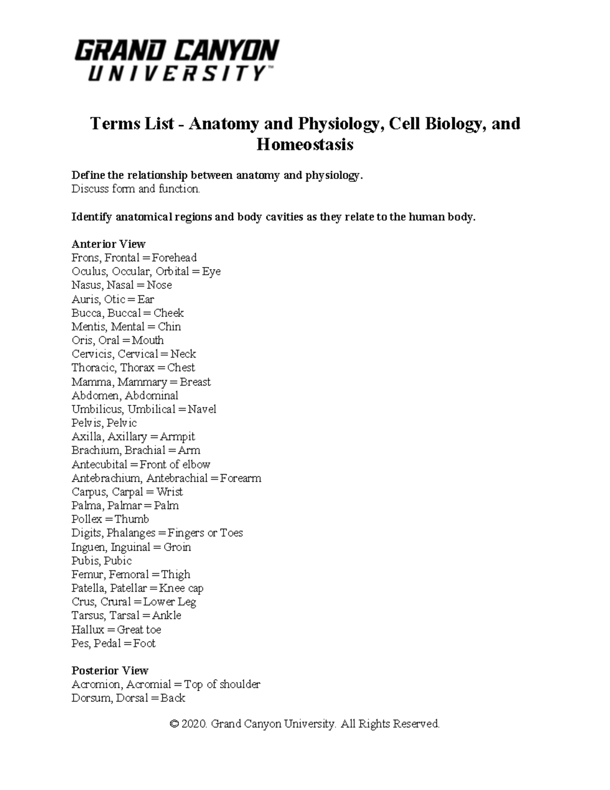 Anatomy and Physiology Terminology: Directional Terms & Body Cavities ...