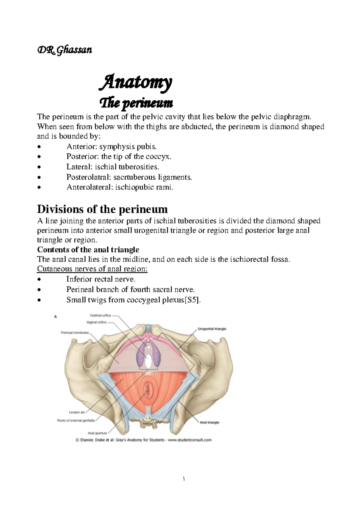 IPAQ Scoring Guide - Exercise Prescription for Disease Prevention - Studocu