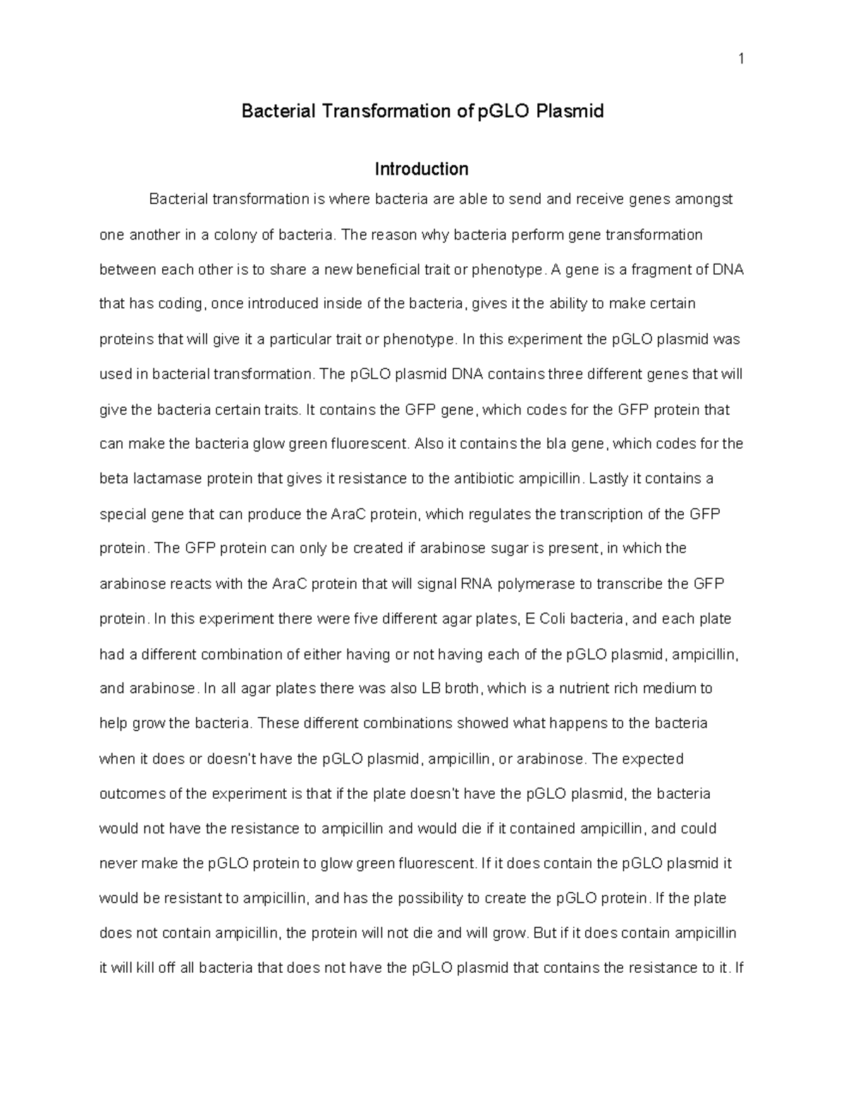 Bacterial Transformation Lab Report - 1 Bacterial Transformation of ...