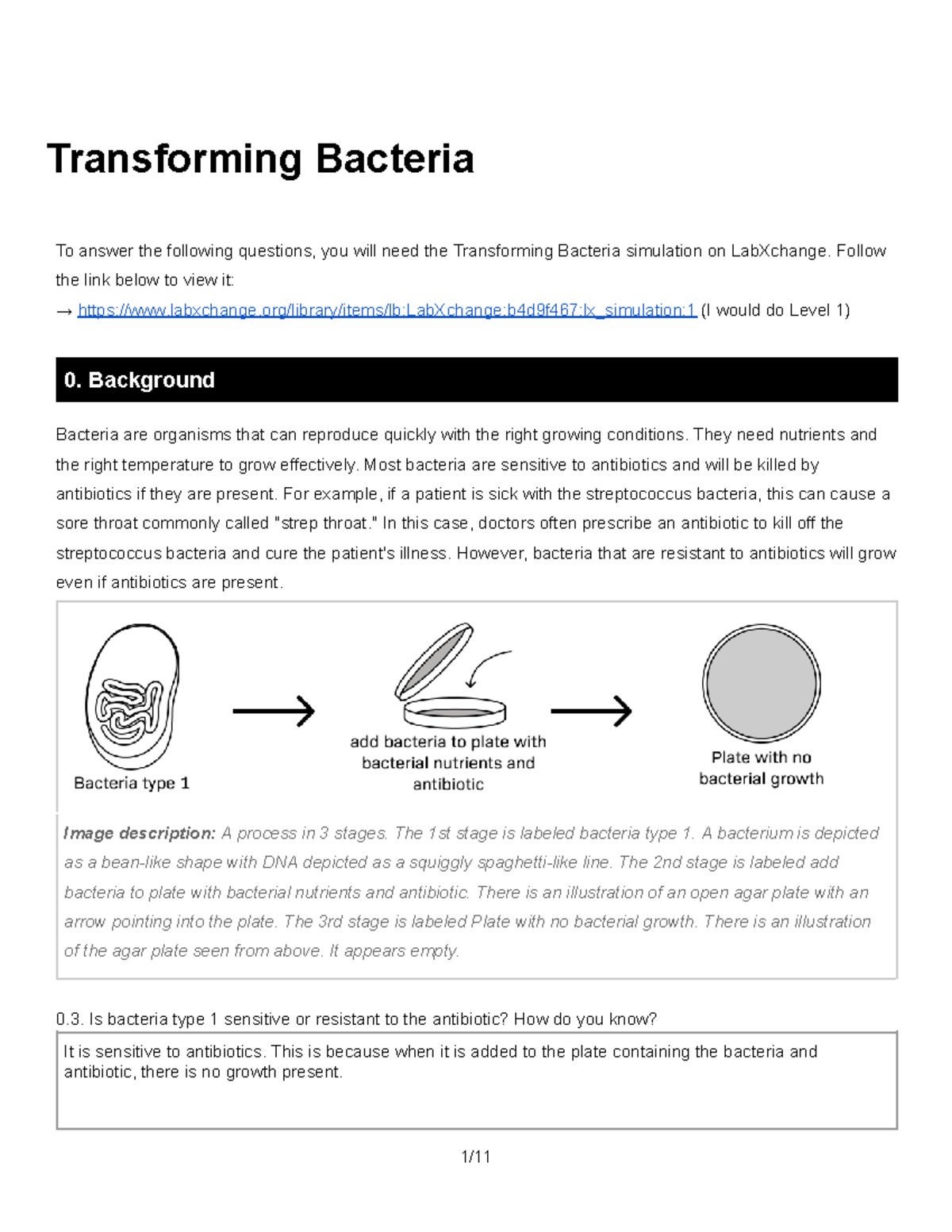Transforming Bacteria - Virtual Transformation Lab (pGLO Pre-Lab) - Studocu