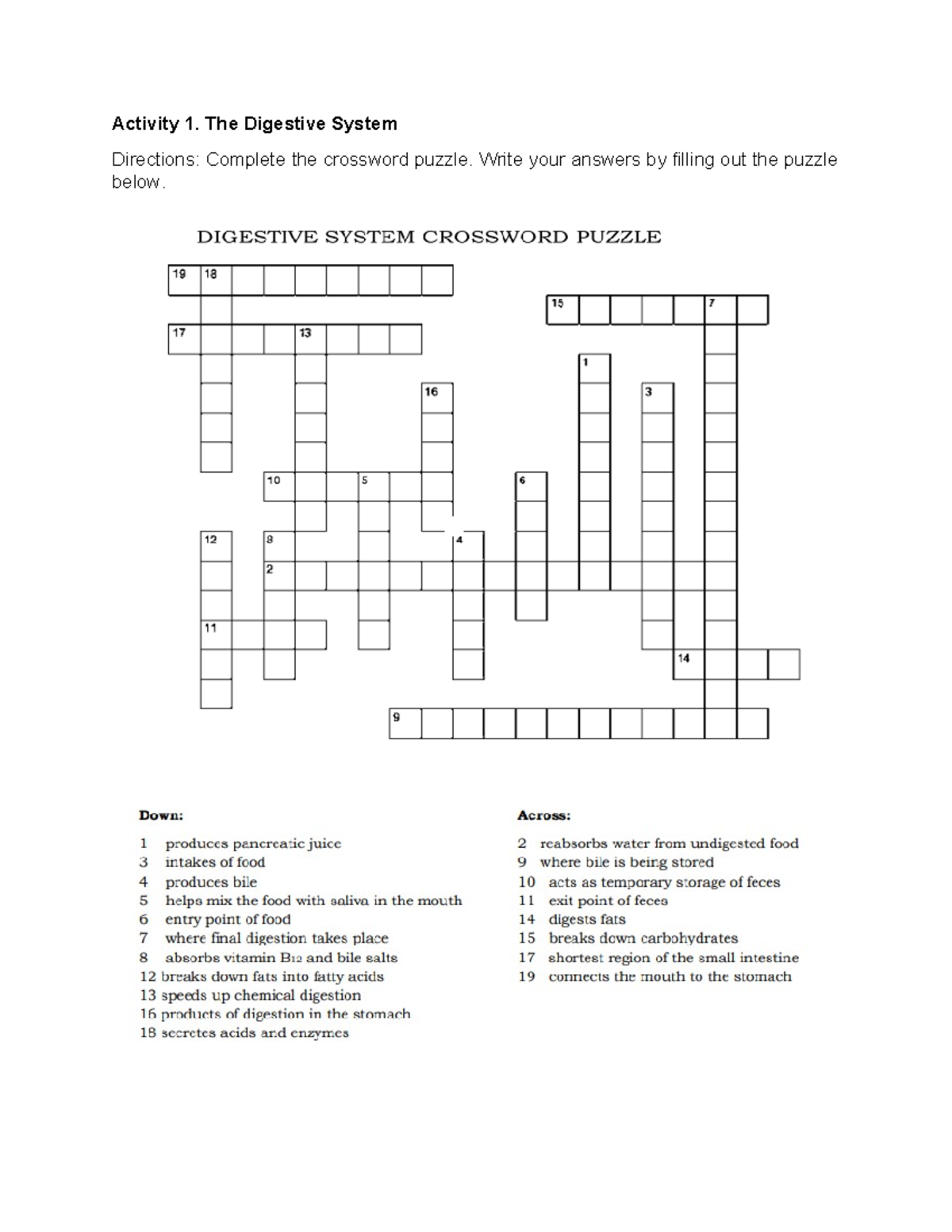 Grade 8 Digestive System Activities & Project Guidelines - Studocu