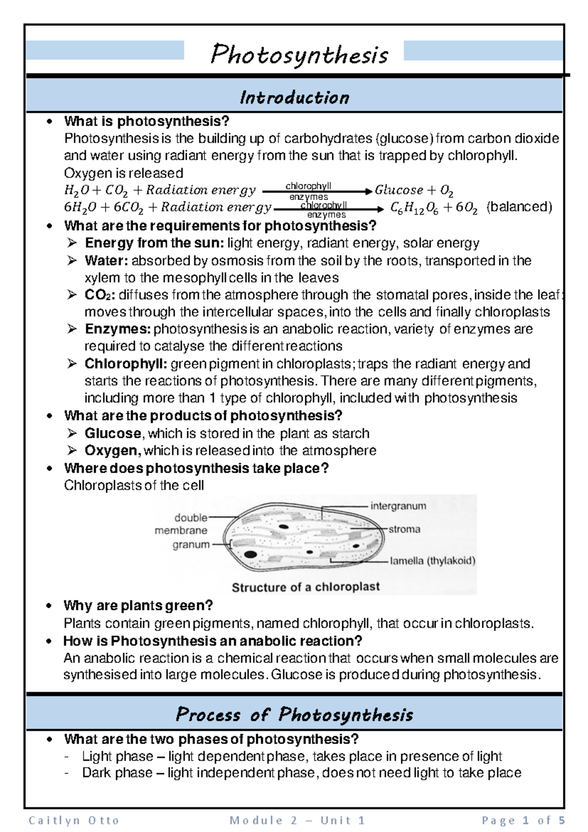 Life Processes in Plants and Animals : Photosynthesis - Photosynthesis ...