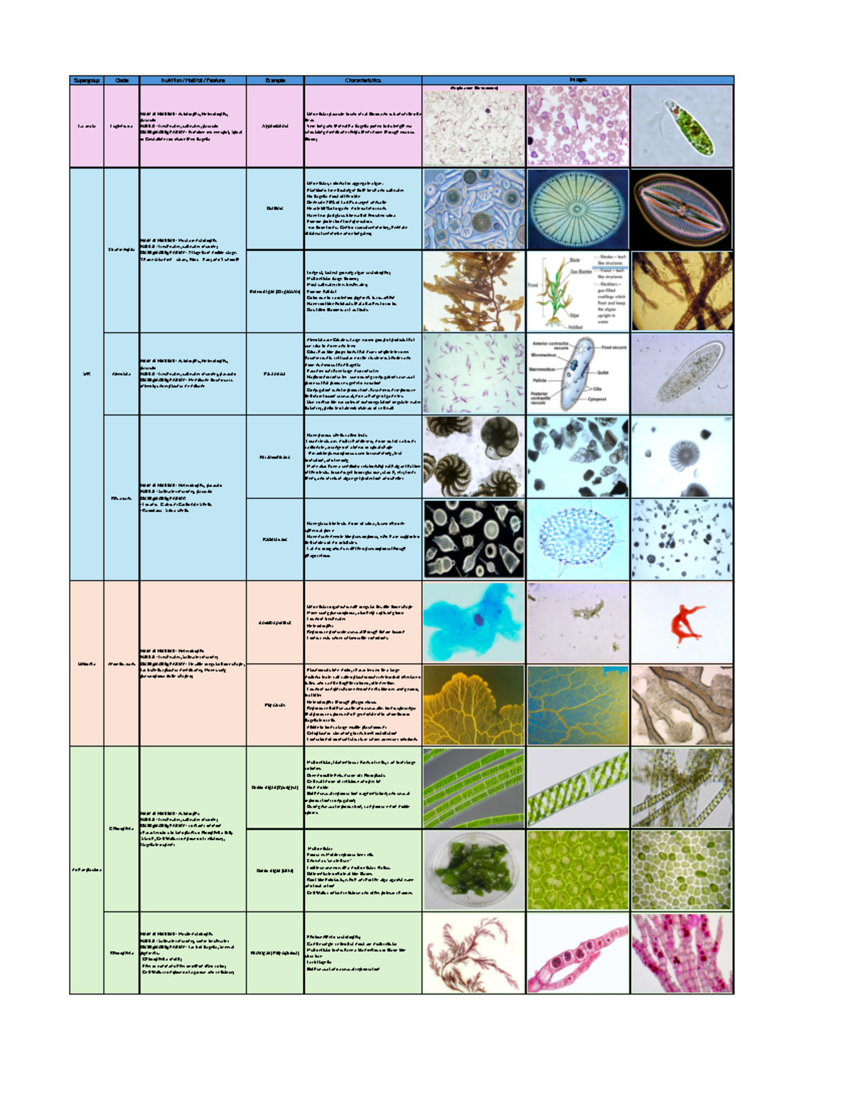 Protists Table - Supergroup Clade Nutrition / Habitat / Feature Example ...
