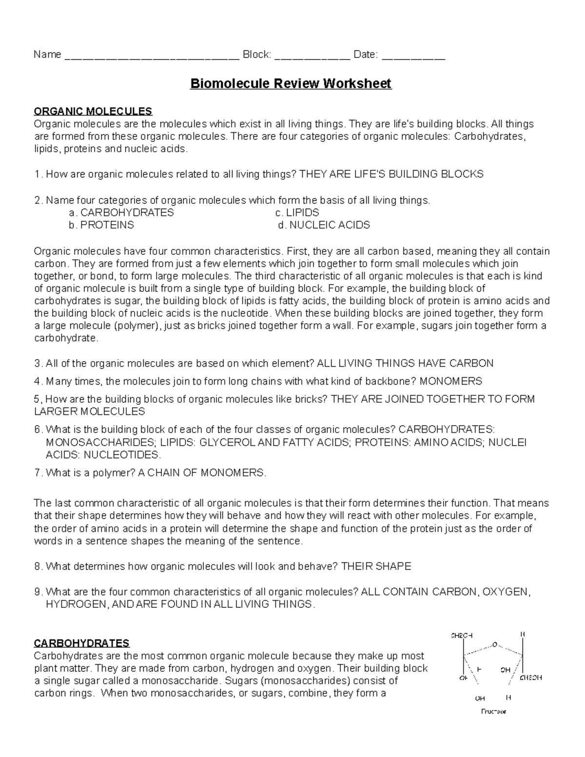 Biomolecule Review Worksheet-KEY-27ee7mm - Name ...