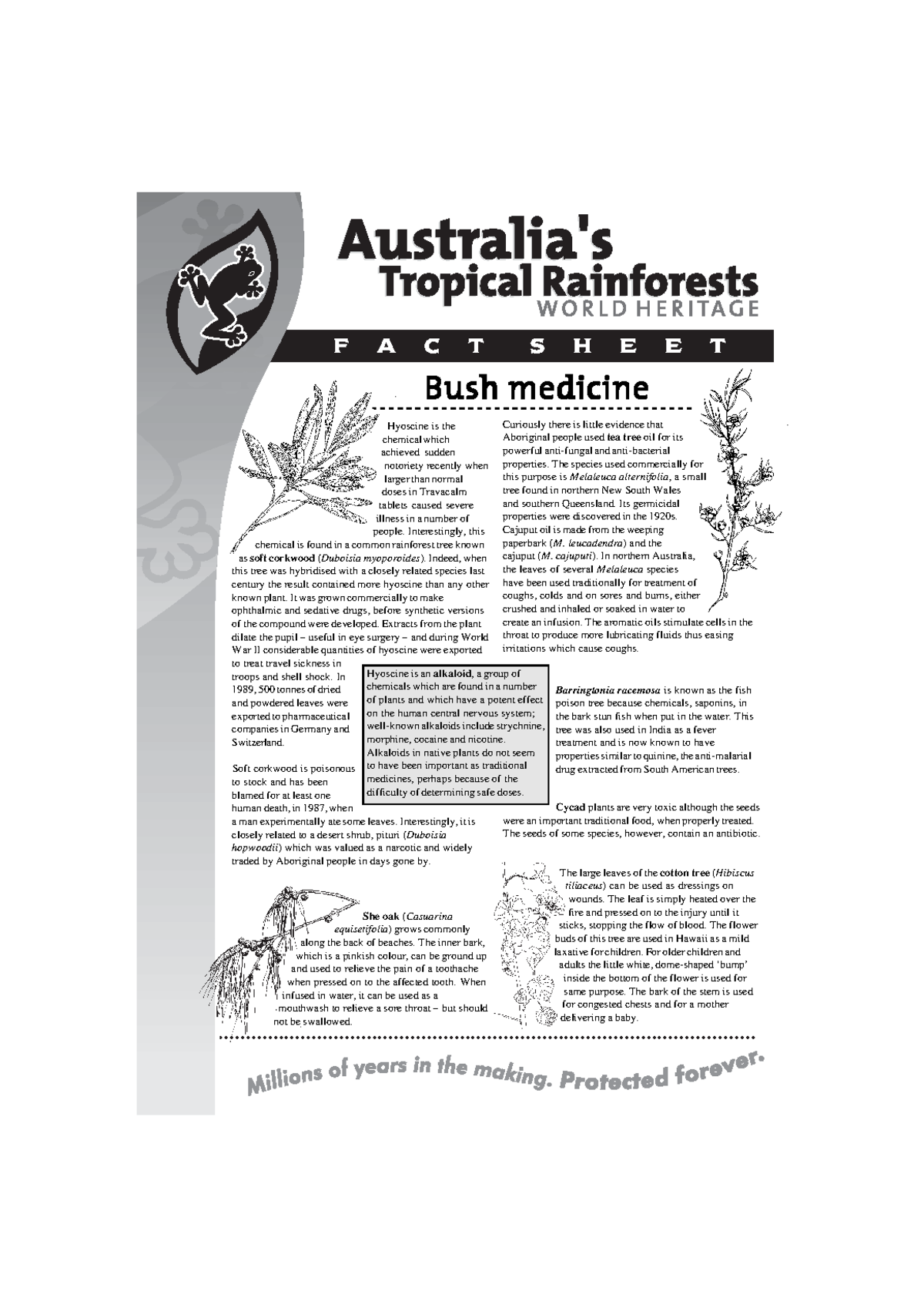 Bush Medicine: Traditional Uses and Chemical Properties of Native ...