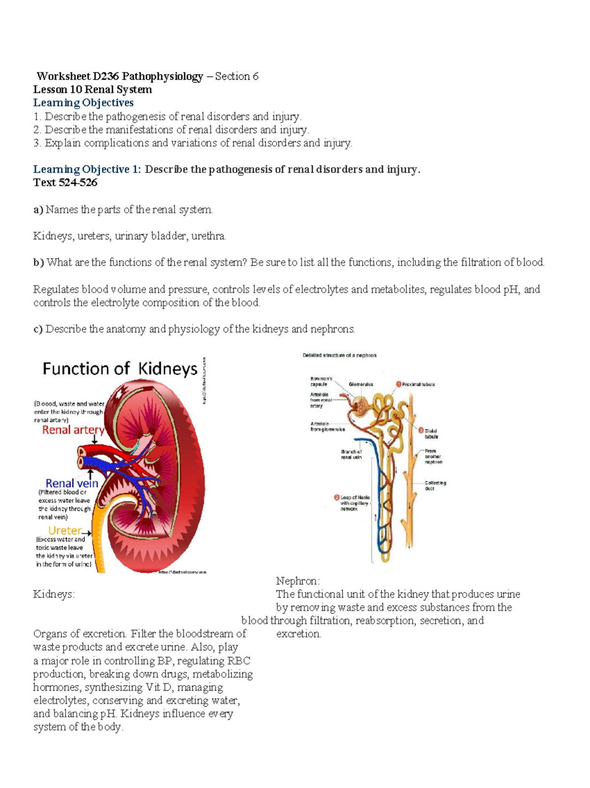 D236 Pathophysiology: Renal System Worksheet & Study Guide - Studocu