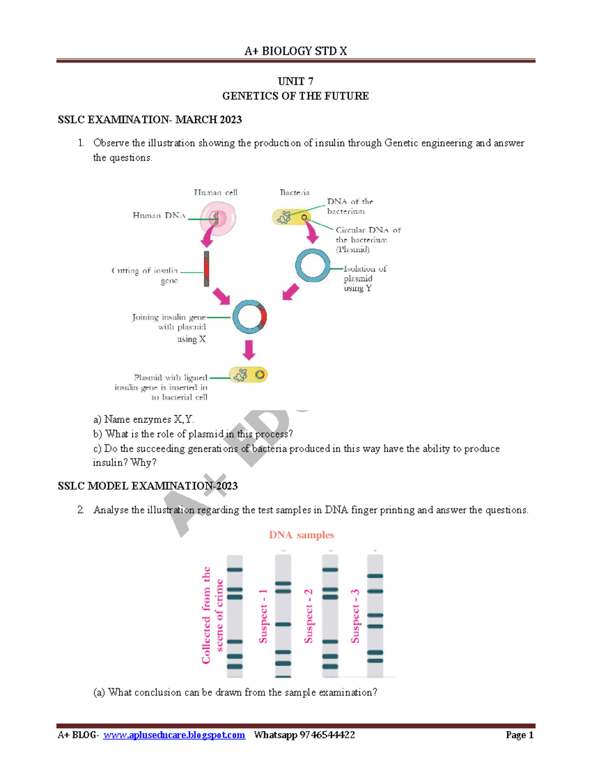 A+ BLOG-SSLC- Biology- Chapter-7- Genetics OF THE Future- Question BOX ...