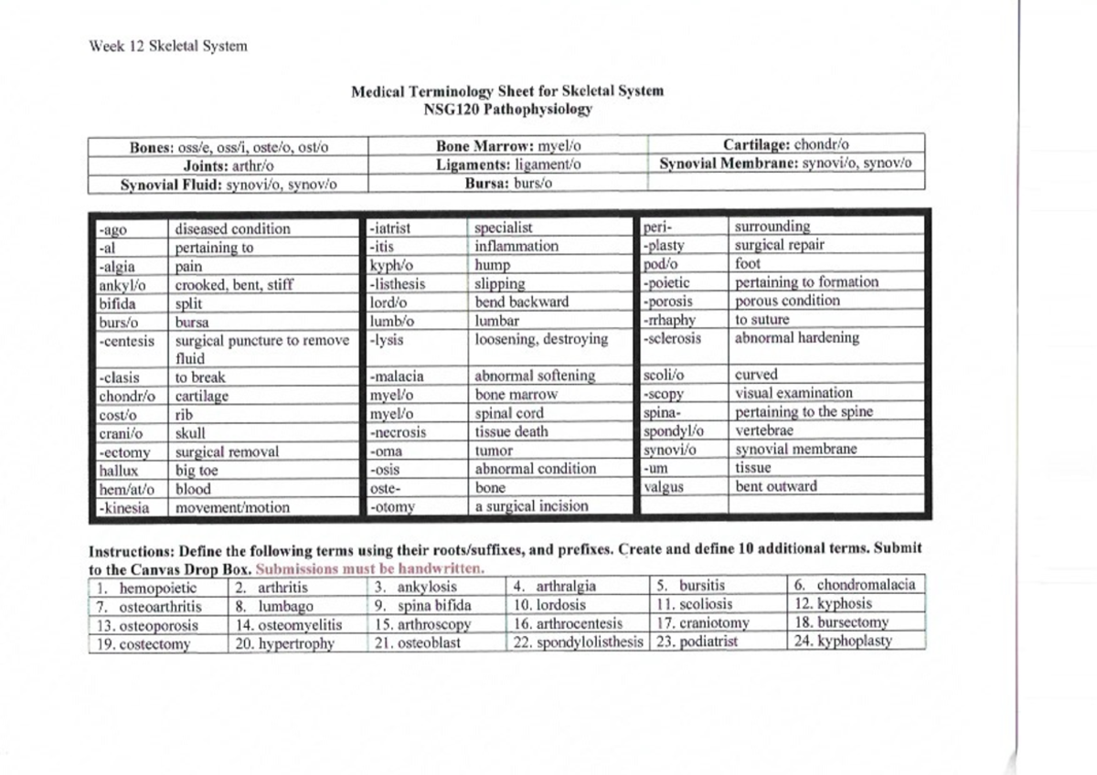 Medical Terminology For Skeletal System - Week 12 Skeletal System ...