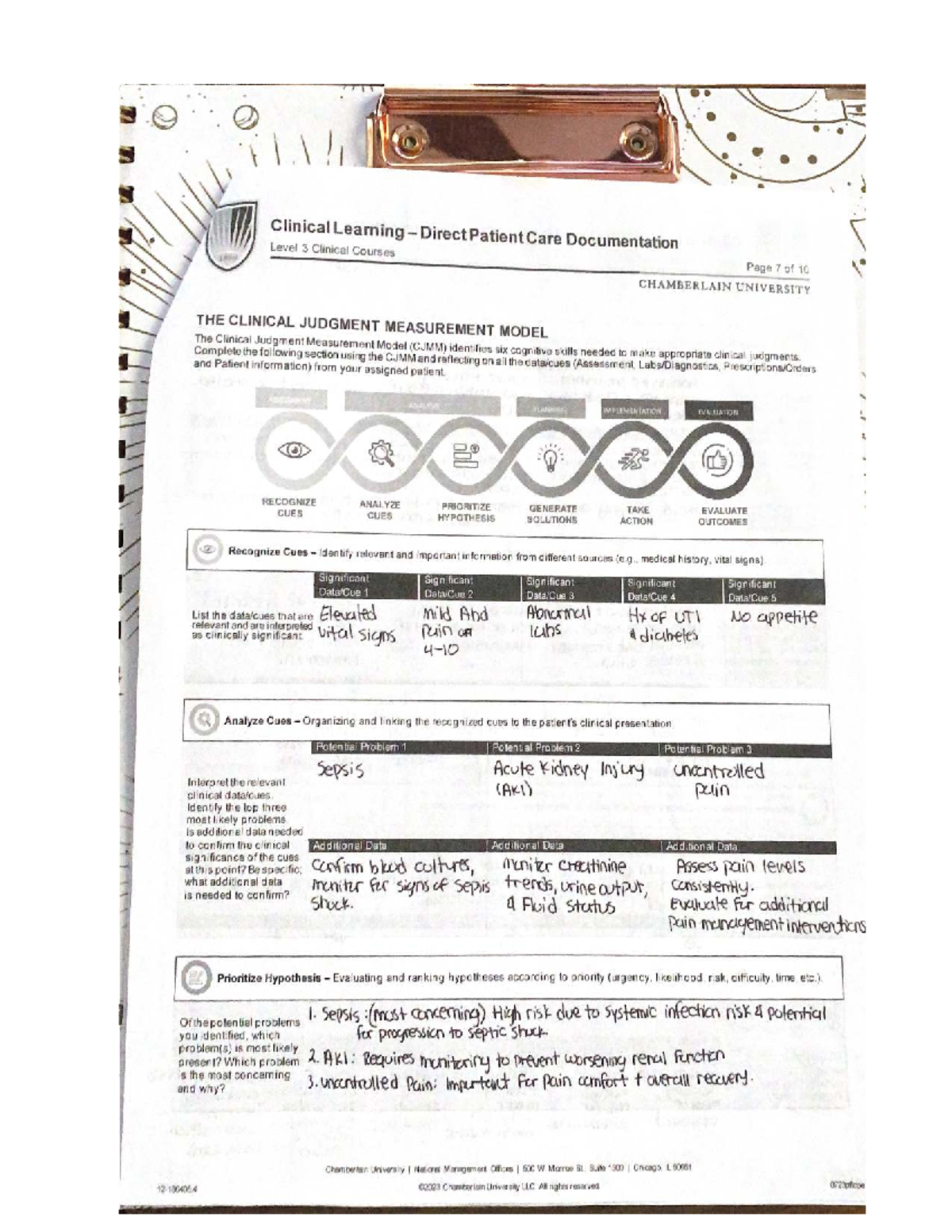 Clinical Learning Direct Patient Care Documentation Level 3 - CJMM ...