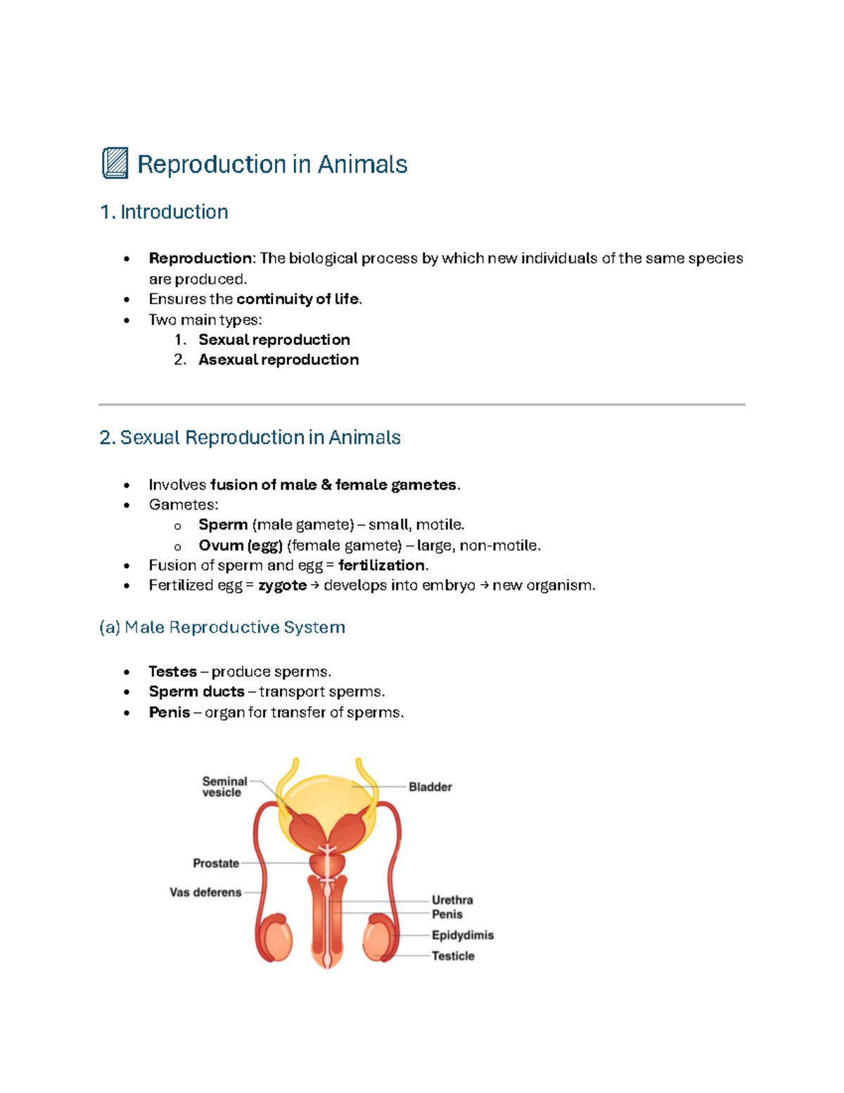 Reproduction in Animals: Overview of Sexual and Asexual Methods - Studocu