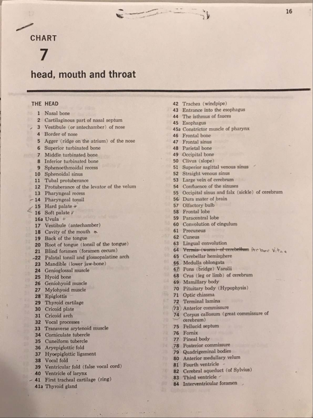 Head Chart (ART 7) - Key Structures of Mouth, Throat, and Neck - Studocu