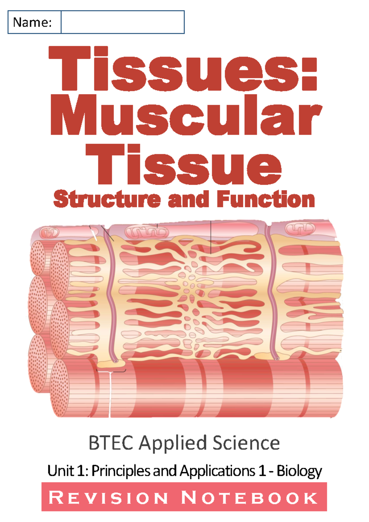 BTEC Applied Science: Muscular Tissue Revision Notes and Answers - Studocu