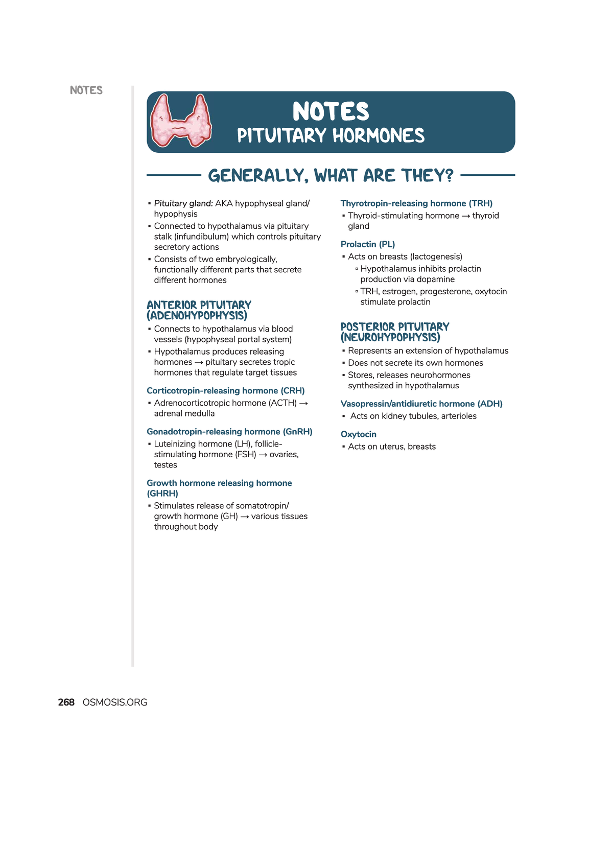 Pituitary Hormones Overview: Key Notes & Diagrams (OSM 32) - Studocu