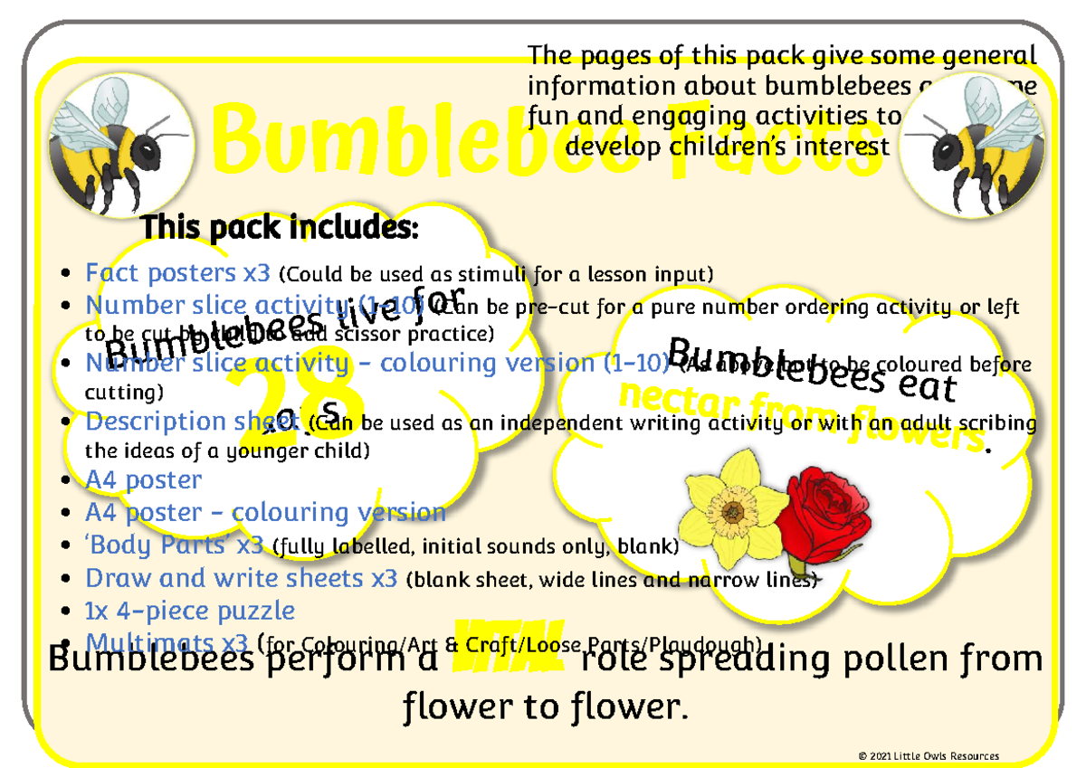 Bumblebee Pack Activities & Facts for Engaging Learning - Studocu