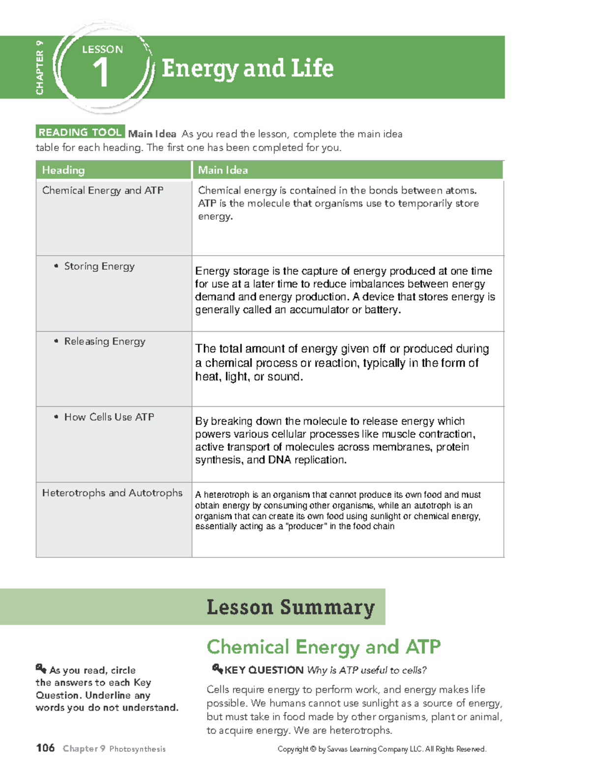 CHAPTER 9 LESSONS 1-3 Biology Foundations: Energy and Photosynthesis ...