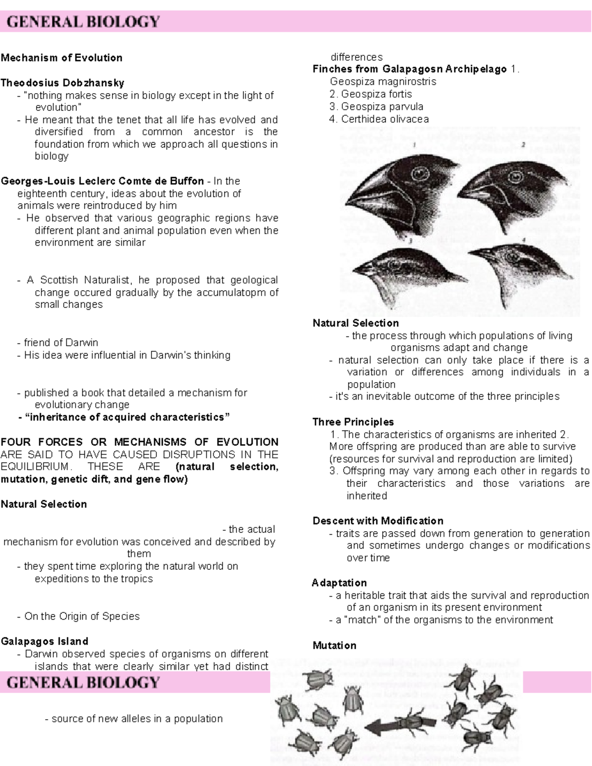 Mechanisms of Evolution & Speciation: Key Concepts and Forces - Studocu