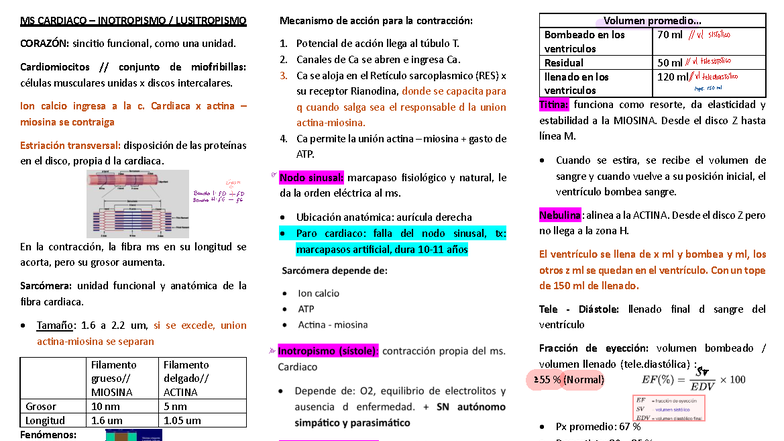 S8 - Inotropismo y Lusitropismo: Mecanismos del Ciclo Cardiaco - Studocu