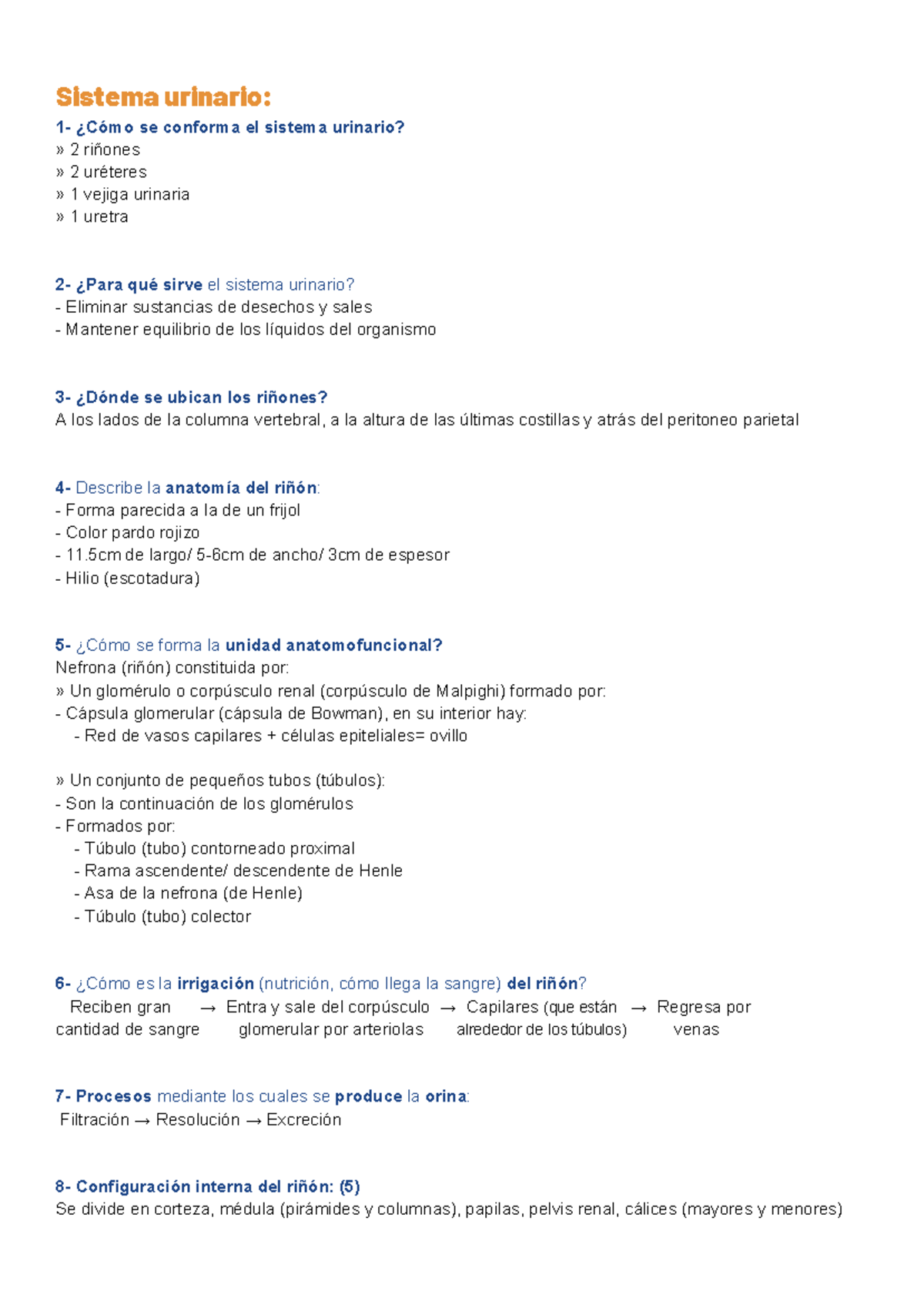 Sistema Urinario y Reproductor: Anatomía y Funciones (BIO 101) - Studocu