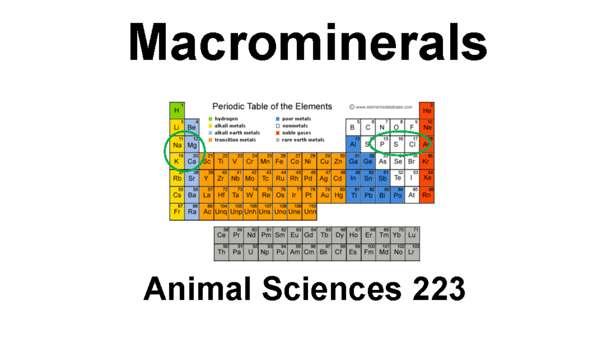Macrominerals in Animal Nutrition: AS 223 Study Notes - Studocu
