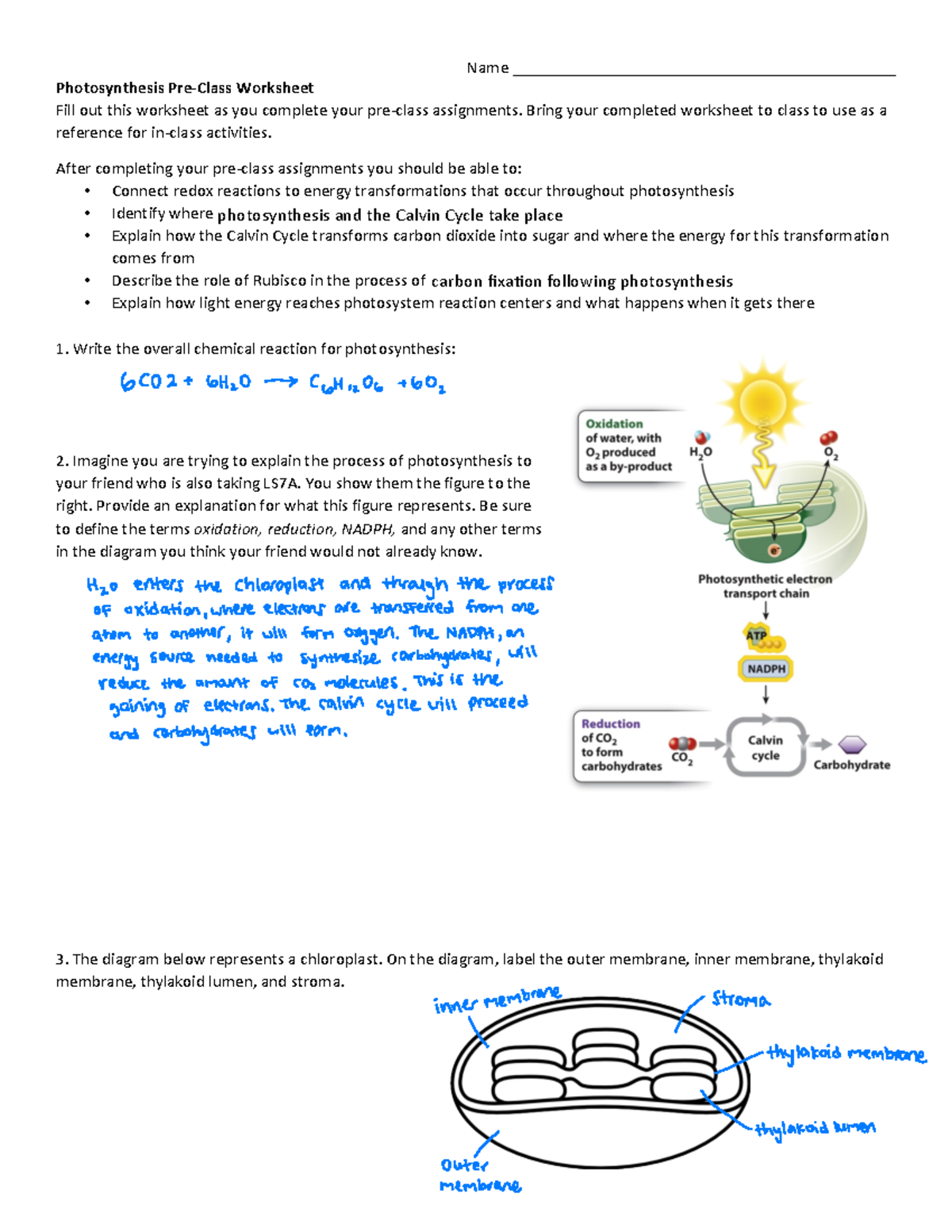 Week 4b Photosynthesis Pre-Class Guide for LS7A Students - Studocu