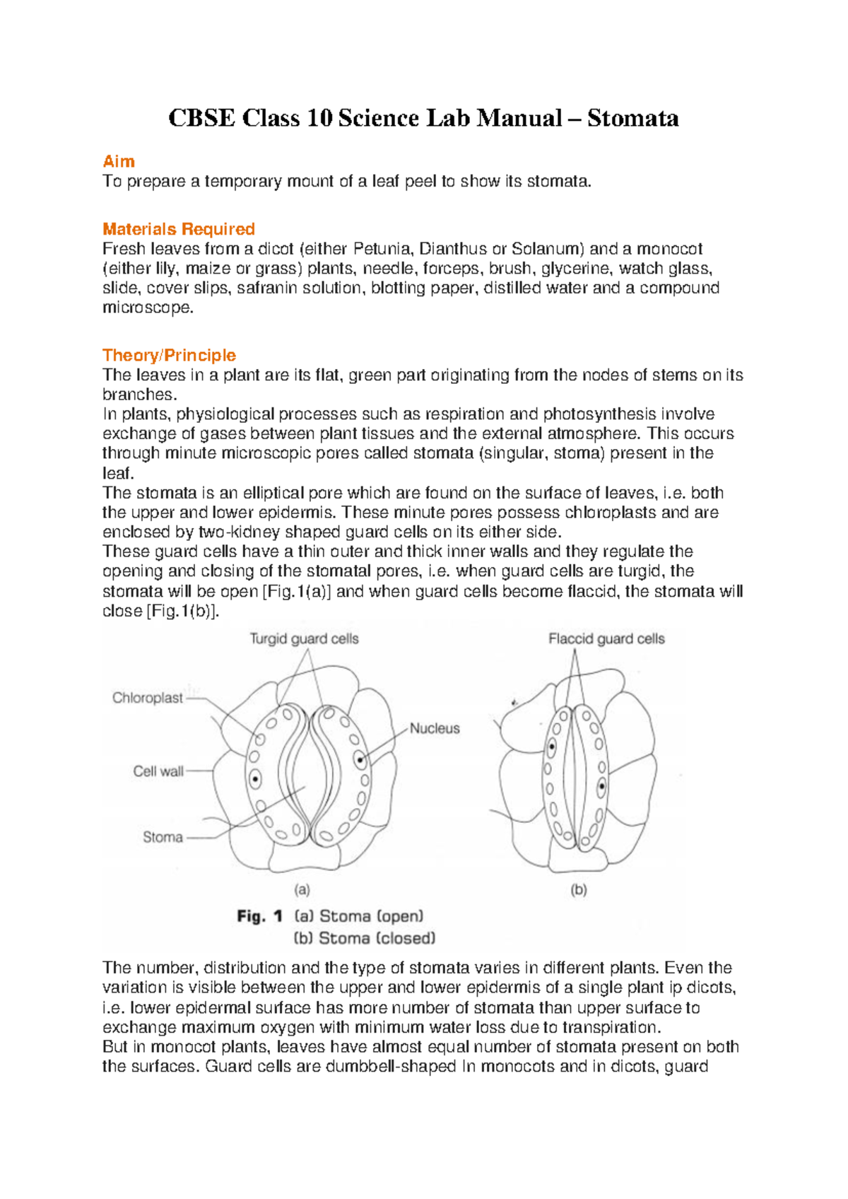 CBSE Class 10 Science Lab Manual: Stomata Preparation & Observation ...