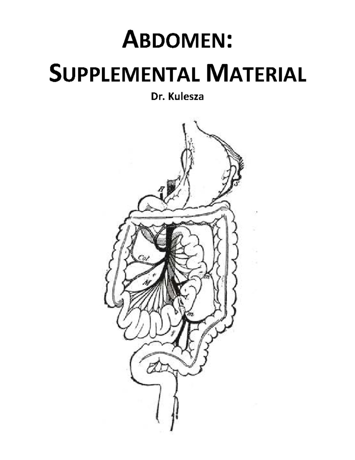 Abdominal Anatomy & Physiology Overview for MED 101 - Studocu