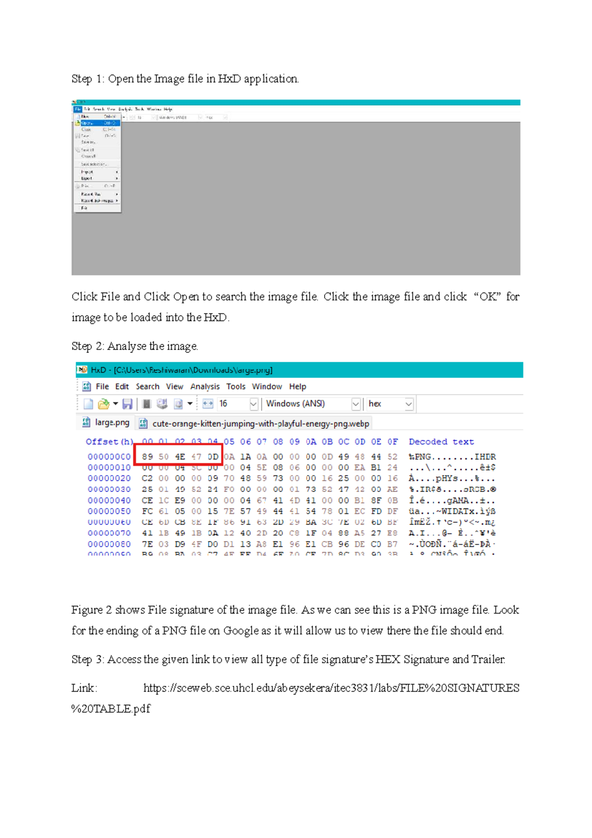 HxD Activity: Analyzing PNG Image Files and Hex Signatures - Studocu