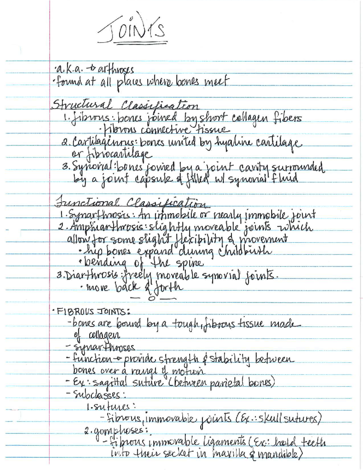 A&P 7 - Exam Prep: Structural & Functional Joint Classifications - Studocu