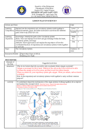 Sample Detailed Lesson Plan - Sample Detailed Lesson Plan Reading and ...