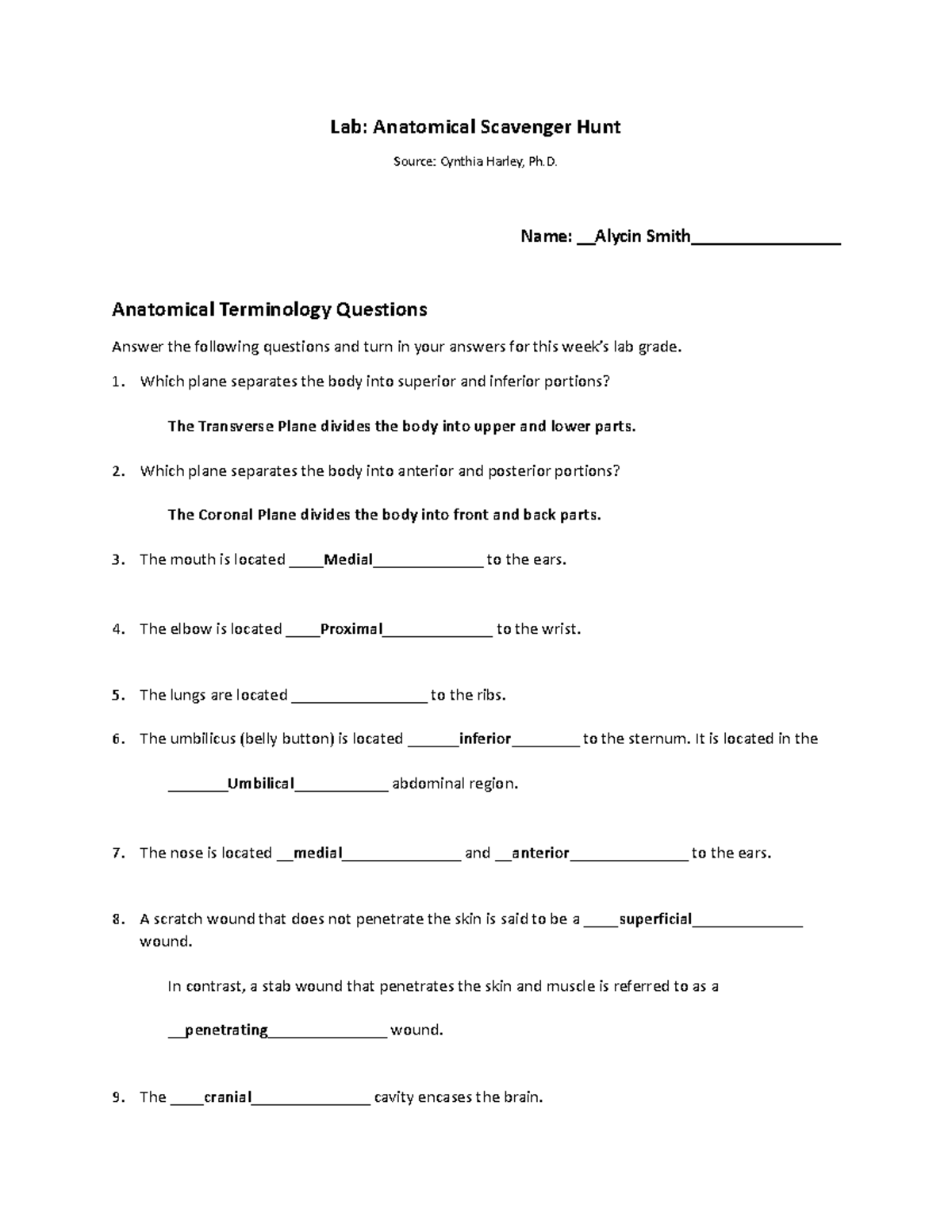 Lab A&P Scavenger Hunt: Anatomical Terminology Review - Studocu